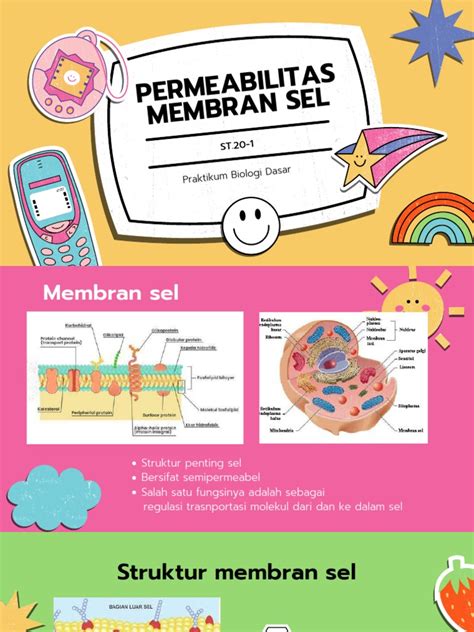 Permeabilitas Membran Sel Pdf Seni Sains And Matematika