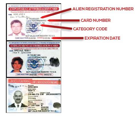 Alien Registration Number