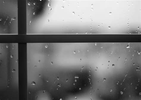 Rainy Day Photograph By Zee Helmick Fine Art America