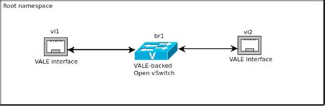 Testing Basic Connectivity Of A Vale Backed Open Vswitch Download Scientific Diagram