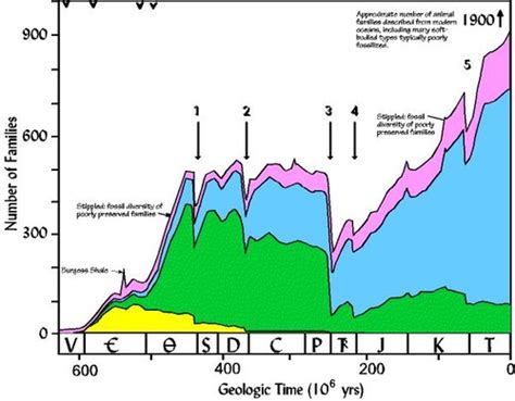 Geologic Time And Mass Extinctions Overview Geologic Time And Dinosaur Evolution Overview