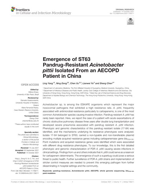 Pdf Emergence Of St63 Pandrug Resistant Acinetobacter Pittii Isolated