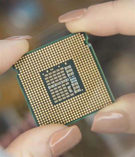 Best Cpu For Gaming Intel Vs Amd Gaming Pc Bundle