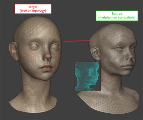 Topology How Do I Conform A Head Mesh To Another Without Decimating The Inner Mouth With