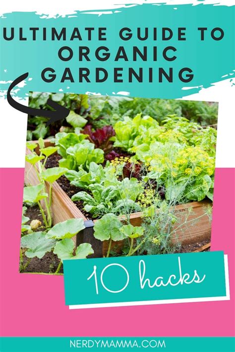 The Ultimate Guide To Organic Gardening And 10 Organic Gardening