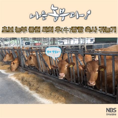 역전의부자농부 299회 예고 두릅 농장 운영으로 연 매출 3억 원 전남 보성 이춘복 부자농부 📺5월 3일 금요일 오후 2시