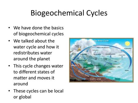 Ppt Biogeochemical Cycles Powerpoint Presentation Free Download Id
