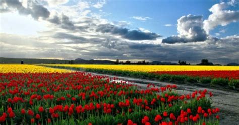 Хороскоп за днес 30 май ВОДОЛЕЙ Силни емоции СКОРПИОН Късметът е с вас За Жената