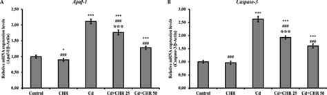 The Mrna Transcript Level Apaf 1 And Caspase 3 In The Testicular