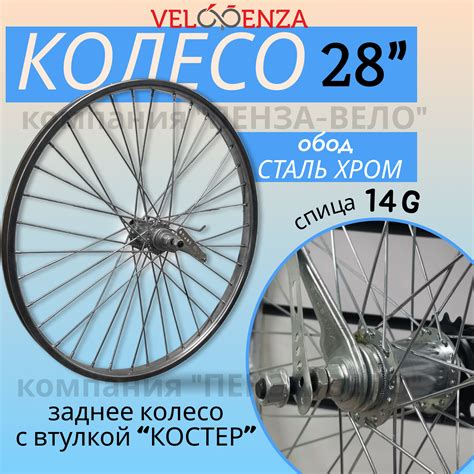 Колесо 28" заднее хром. Втулка "Сoster" - Пенза Вело