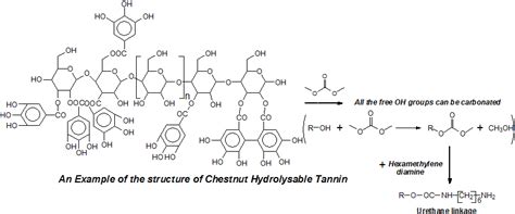 Jrm Hydrolysable Chestnut Tannin Extract Chemical Complexity In Its