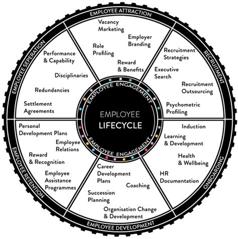 The 6 Stages Of The Employee Life Cycle OutThere HR 2022