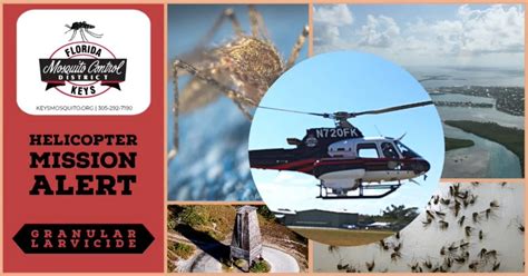 Liberaron en Florida un ejército de mosquitos Terminator modificados genéticamente para