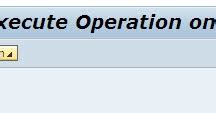 An SAP Consultant SAP Workflow Execute Operation On Work Item
