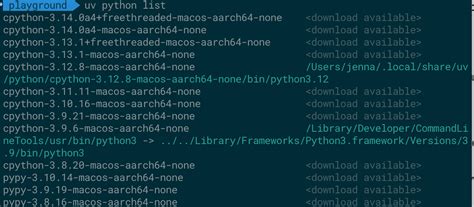 Managing Python Versions And Packages With Uv