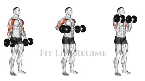 Dumbbell Drag Curl How To Do And Muscles Worked