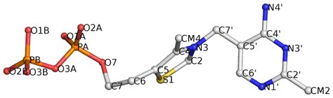 X3dna Dssr Homepage Nucleic Acid Structures