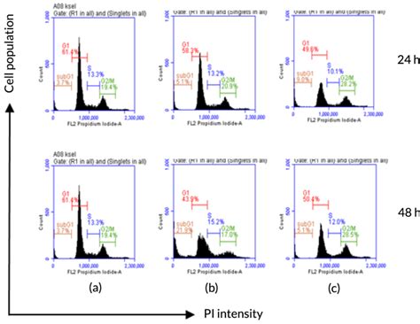 Cell Cycle Analysis Of Mcf 7 Cells The Cell Cycle Distribution Of