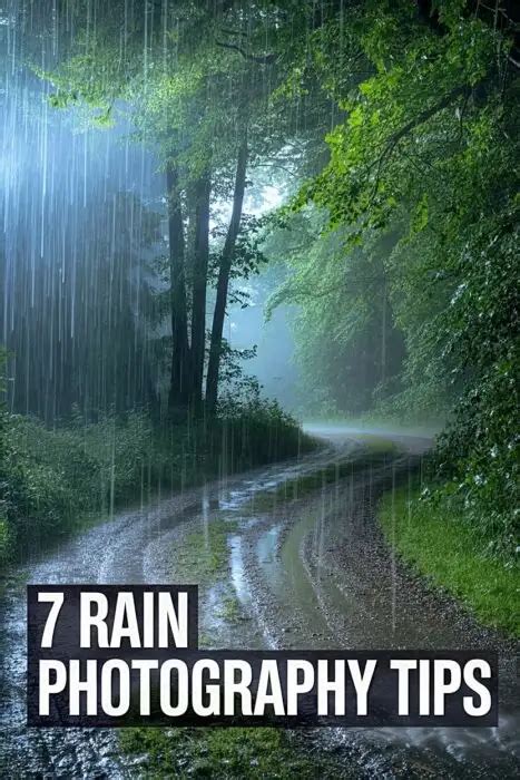 How To Take Stunning Nature Photography Beginner To Pro