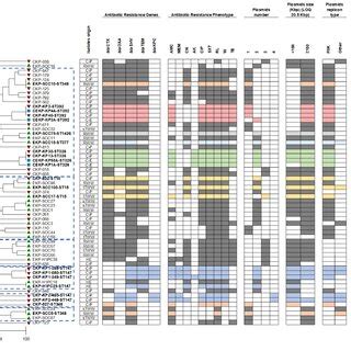 Clustering Analysis Using Jaccard Similarity Based On Distinctive
