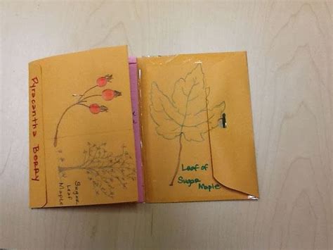 Field Journal Field Journal Interactive Science Notebook Teaching