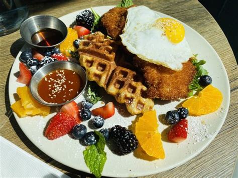 Peacock Pansy Updated March 2026 1210 Photos And 434 Reviews 392