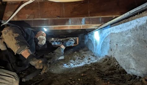 Humedad En Cimientos Causas Detección Y Soluciones Padua Materiales