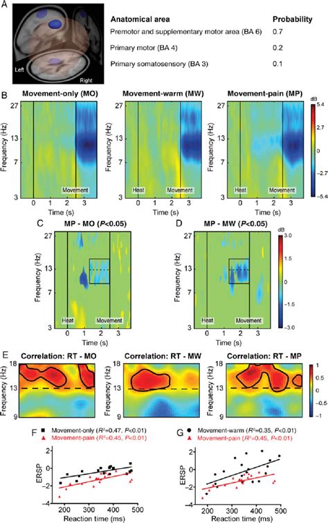Measure Projection Analysis Mpa Of The Event Related Spectral