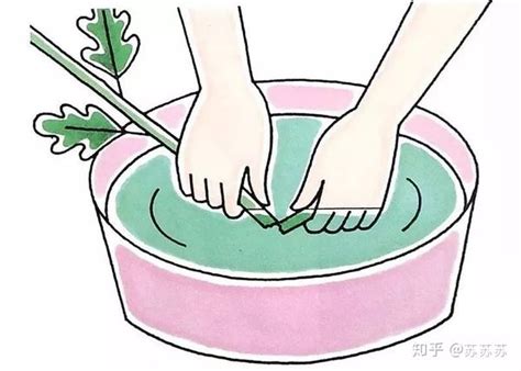 实用花材处理技巧 知乎
