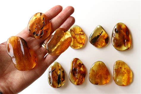 10 Massive Pieces Polished Amber Stones Wholesale Amber Souvenir