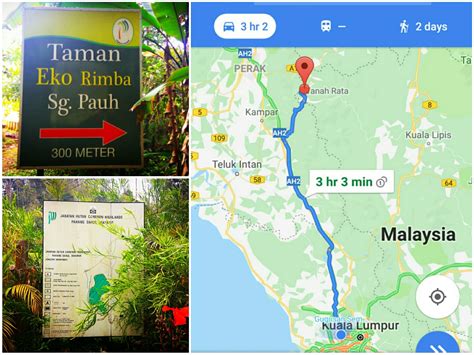 Camping Di Taman Eko Rimba Sungai Pauh Cameron Highland