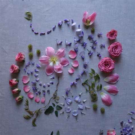 How To Create A Flower Flat Lay B Floral
