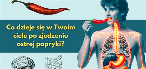 Co dzieje się w Twoim ciele po zjedzeniu ostrej papryki Motywator Dietetyczny