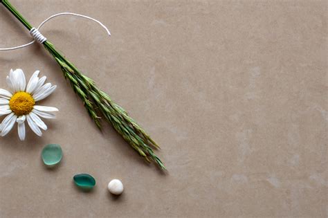 평면 보기입니다 뾰족한 뾰족한 꽃이 있고 한 쌍의 색깔의 유리 조각이 놓여 있습니다 건강관리와 의술에 대한 스톡 사진 및 기타 이미지 건강관리와 의술 건강한 생활방식