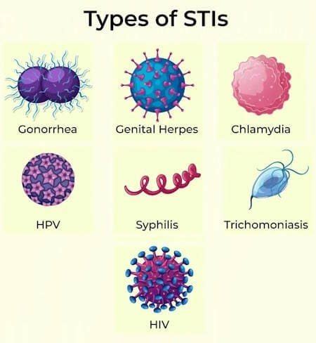 Blue Waffle Disease Does This Std Really Exist Doctor Zara
