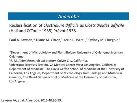 Probiotics In The Prevention Of C Difficile Infection What The Data Tell Us Transcript
