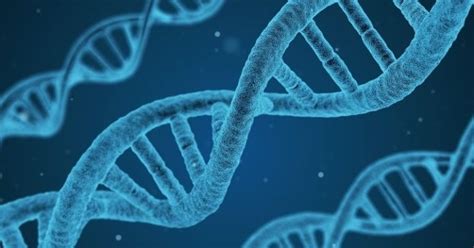 A Computational Tool That Will Transform Bacterial Genome Analysis Leiden University