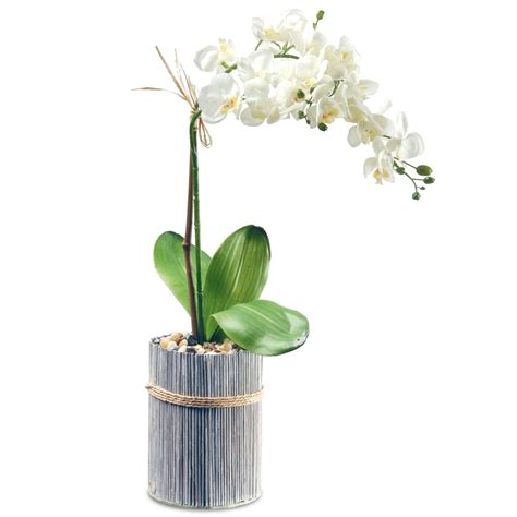 20 Garden Accents Potted Orchid Overstock