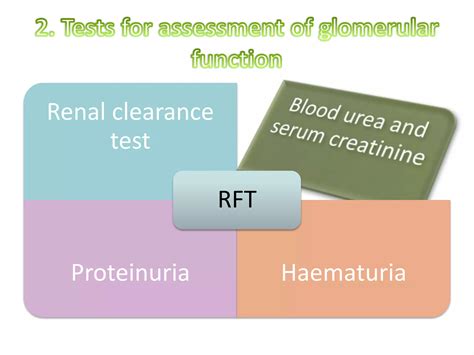 Renal Function Tests Pptx