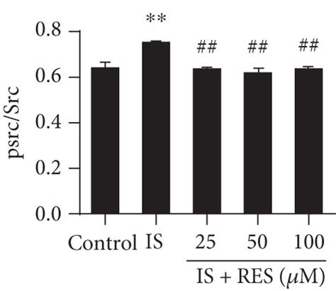 RES Inhibits Src Kinase Activity Mediating VE Cadherin Activity Induced