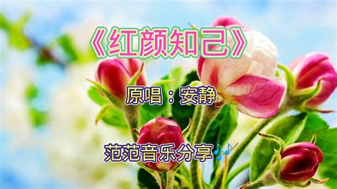 经典伤感情歌《红颜知己》安静，女人最大的底气，是骨子里的善良高清1080p在线观看平台腾讯视频