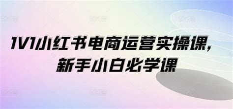 1v1小红书电商运营实操课，新手小白必学课 资源之家