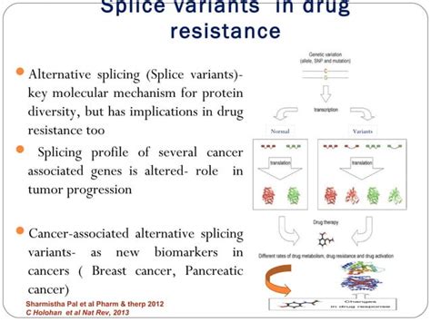 Arv7 Splice Variant In Crpc Ppt
