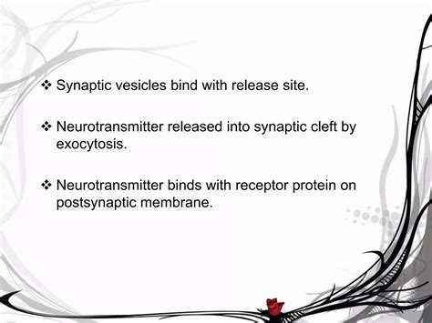 Synapic Transmission Pptx Brain And Nervous System Disorders Diseases And Conditions