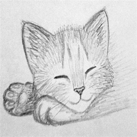 Cute Cat Pencil Sketch Digital Download Etsy