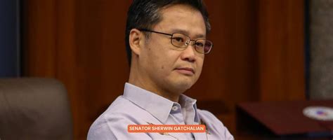 Senator Vows Support To Deped Digi Ed The Post