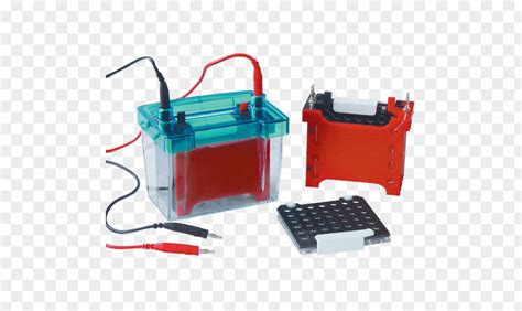 Science Western Blot Gel Electrophoresis Png Image Pnghero