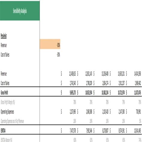 Bean Farming Financial Model Excel Projection Template
