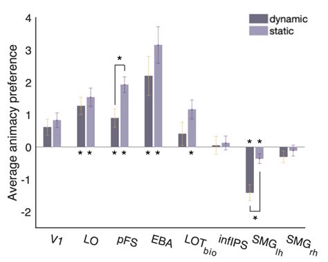 Univariate Fmri Response Preference For Animate Compared To Inanimate Download Scientific