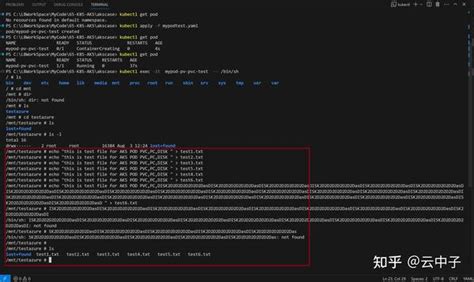 Azure K8S AKS进入AKS的POD中查看文件例如PVC Volume Mounts使用情况 知乎